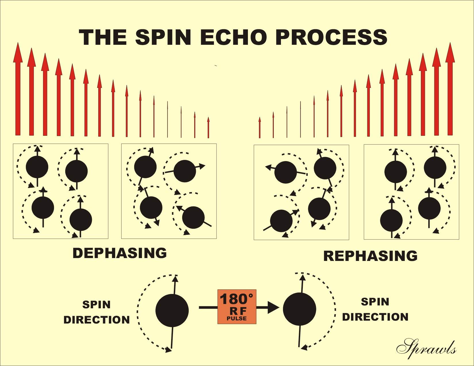 Inversion Recovery Spin Echo Pulse Sequence